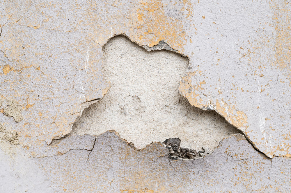 Early Stage Termite Damage in Drywall - Castle Construction