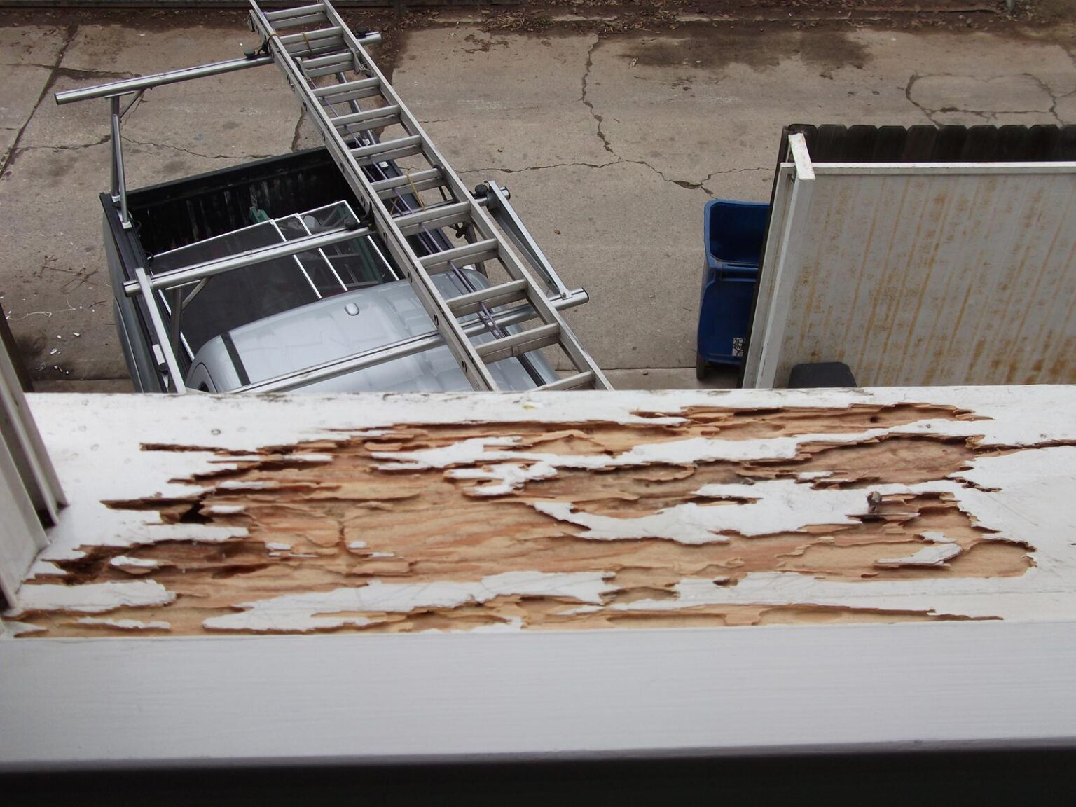 Step-by-Step How to Repair Termite Damaged Window Sill